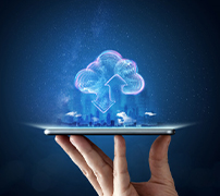 Redington Marketplace Turkey